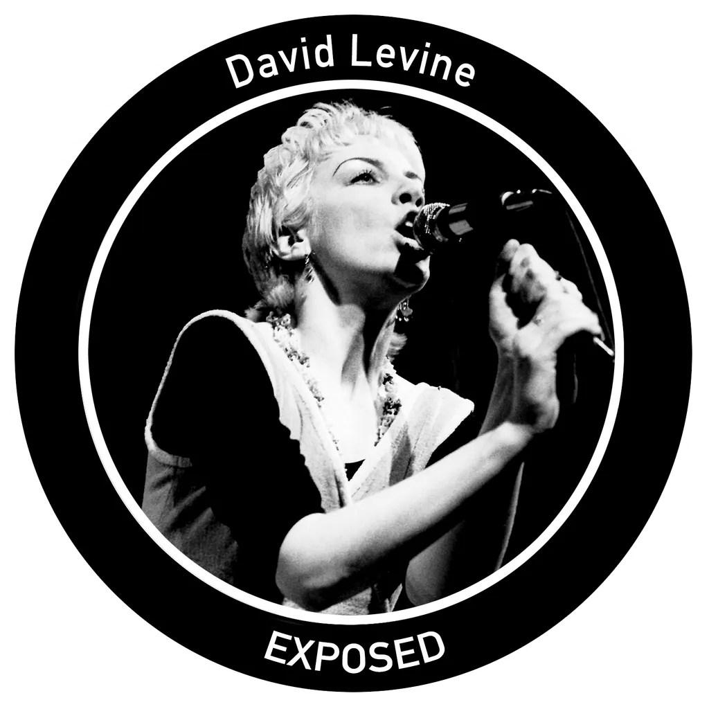 David Levine's Pop Icons